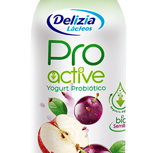 Yogurt Proactive 1Kg - Delizia